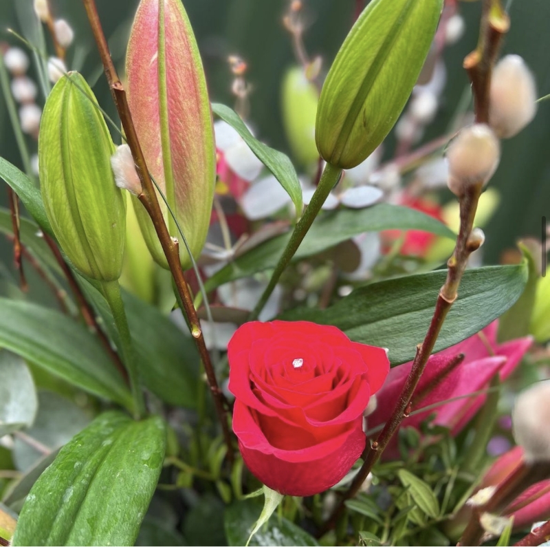 Karl's 6 Rose and Lilies Creation – buy online or call 01925 758 181
