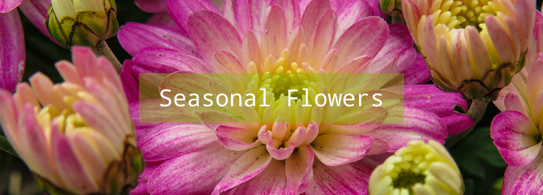 Lymm Florist - Flower Delivery by Karl Welsh Floral Design