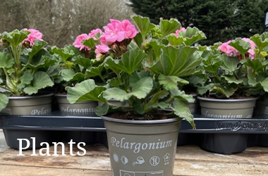 Lymm Florist - Flower Delivery by Karl Welsh Floral Design